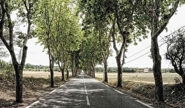 One Hundred Years of Housing on Acme Avenue
